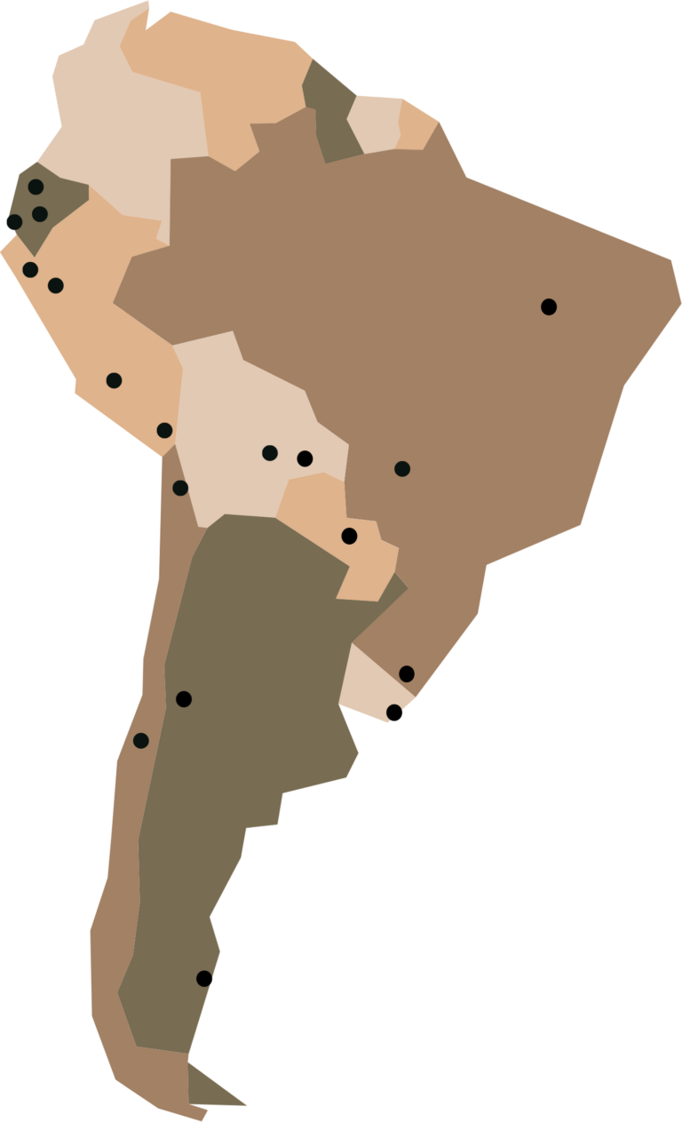 Projects – Pampas Cat WG